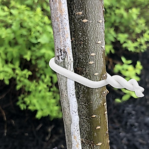 KINGLAKE GARDEN Flexible Soft Wire Ties,2.0 MM 65.6 Feet Twist Garden Ties,Heavy Duty Reusable Plant Twist Ties for Support Plants,Office Organization and Home (White)