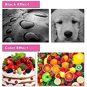 Saiyeeka Remanufactured 44 54 Ink Cartridge Replacement for Canon 44 and 54 Ink PG44 CL54 XL PG-44XL CL-54XL for Pixma E401 E402 E461 E471 E481 1 Black 1 Tri-Color