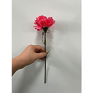 11“Bouquets 10 Stem Carnations,Outdoor UV Resistant No Fade Artificial Flower,Mini Carnation Silk Petals Fake Flowers Forever Plants for Photo Props Home Party and Wedding Holding Flowers- Light red