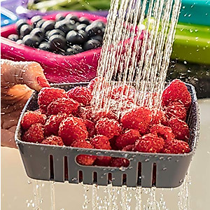 Hutzler Bitty Box Berry Keeper, 9 oz, blue (73BL)