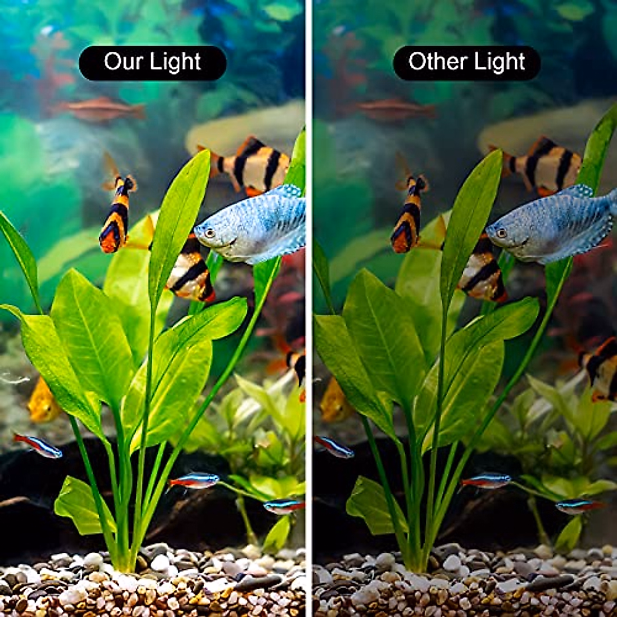 WEAVERBIRD LED Aquarium Light Three-Mode Adjustable Fish Tank Lights 5W 16 LED Planted Aquarium Light Clip Lamp 550LM for 0.24 inch Thickness 12 inch Fish Tank