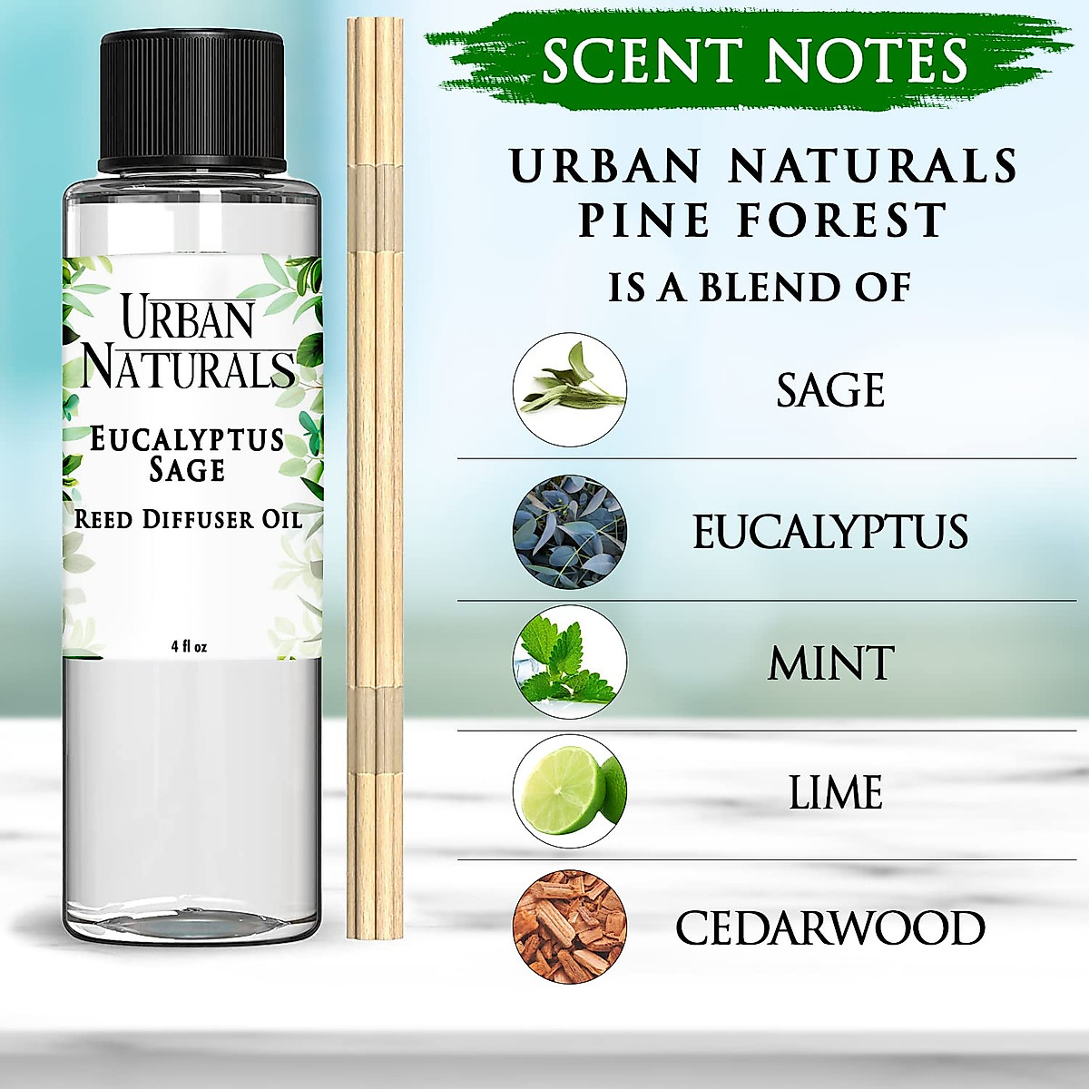 Urban Naturals Eucalyptus & Sage Oil Reed Diffuser Refill | Eucalyptus, Sage, Mint, Lime and Cedarwood| includes a Free Set of Reed Sticks! 4 oz