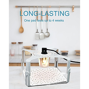 36 Pcs Flea Trap Refill Glue Boards for Terro T230 T231 Indoor Flea Light Traps, 6" Replacement Sticky Pads Fits Square Flea Bed Bug Traps for Inside Your Home