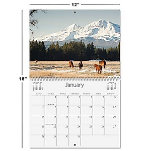2024 Seasons Wall Calendar, 12-Inch x 9-Inch Size Closed, 18-Inch Size Open, Large Bookstore-Quality, Spiral-Bound Hanging Monthly Wall Calendars for Kitchen & Office, by Current