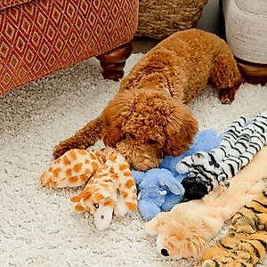 Squeaky No Stuffing Dog Toy Set – New & Improved Edition Plush Crinkle Dog Toys for Small, Medium & Large Breeds – Soft Tough Stuffless Puppy Chew Squeak Animal Supports Pet Health & Well Being 5 Pack