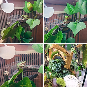 Fhiny 2 PCS Reptile Corner Branch, Resin Climb Tree Branch Decor with Leaves Tank Accessories Terrarium Plant Ornament with Suction Cup for Snake Lizard Bearded Dragons Gecko Climbing