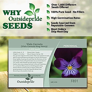 Outsidepride Viola King Henry Garden Flowers for Containers, Hanging Baskets, & Window Boxes - 1000 Seeds