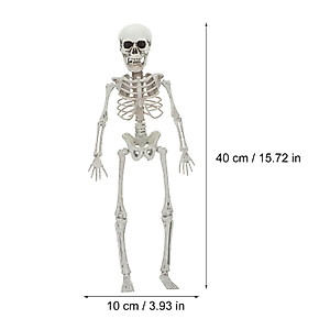 The Mannequin Halloween Skeleton Plastic Models Mannequin Maniquin Scary Halloween Decorations Anatomy Teaching Tools Toy Decorate Props The Sign Some Joints Movable Full Body Mannequin
