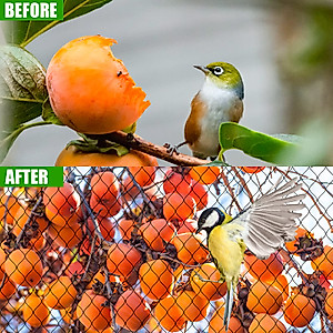 Bird Netting for Chicken Coop - 50x50ft Poultry Netting Over Chicken Run & Chicken Pen, Heavy Duty 2.4” Mesh Garden Net for Blueberry Bushes, Fruit Trees and Vegetable Against Birds, Deer, Squirrels