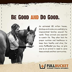 FullBucket Equine Probiotic Paste with Saccharomyces Cerevisiae Boulardii for Daily Digestive Optimization; Concentrated Formula with 100 Billion CFUs, 1 Tube