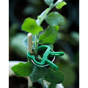 Plant Clips 80 Piece-Garden Clip Plant 2 Sizes Reusable Tomato Clip, Multipurpose Plant Vine Clips for Roses, Sturdy Cucumbers Orchid Clips Plant Support Adjustable Clips Green(30 Large + 50 Small)