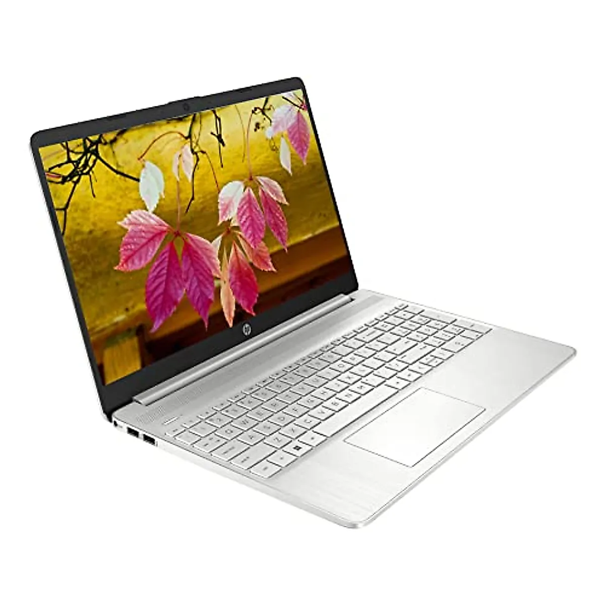 HP 2022 15.6" HD Laptop, Intel Core i3- 1115G4 Processor, 8GB DDR4, 256GB PCIe SSD , Intel HD Graphics, Wi-Fi, Bluetooth, HDMI, Windows 11 S, Natural Silver, 32GB SnowBell USB Card