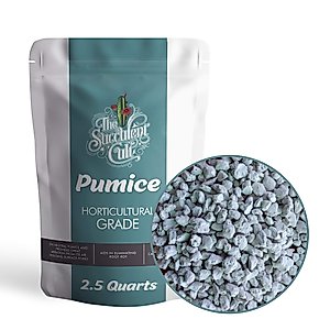 Horticultural Grade Pumice (2.5 Dry QUARTS) - Bonsai, Cactus, Succulent Soil Additive - Eliminate Root Rot - Ready to Use, by The Succulent Cult