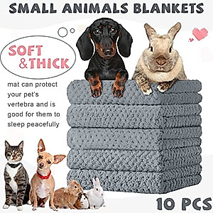 10 Pcs Guinea Pigs Blankets Hamster Fleece Cage Liners Coral Fleece Guinea Pigs Quick Dry Soft Blankets Guinea Pig Bedding Guinea Pig Accessories for Dog Puppy Cat (Gray, 24 x 47 Inch)