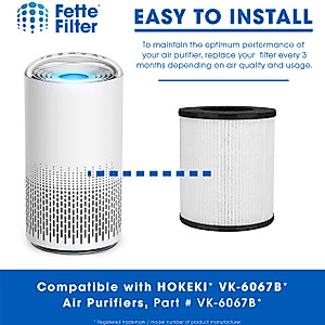 Fette Filter - VK-6067B H13 True HEPA Filters Compatible with HOKEKI VK-6067B & Vremi True Hepa Air Purifiers H13 with Activated Carbon- Pack of 2 (VK6067B)