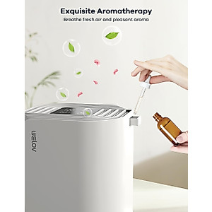 Welov Air Purifiers for Home: H13 True HEPA Air Purifiers for Pets Allergies Asthma,Mini Portable Air Cleaners with Aromatherapy,Removal Up to 0.1 Microns,23dB Air Purifier for Bedroom