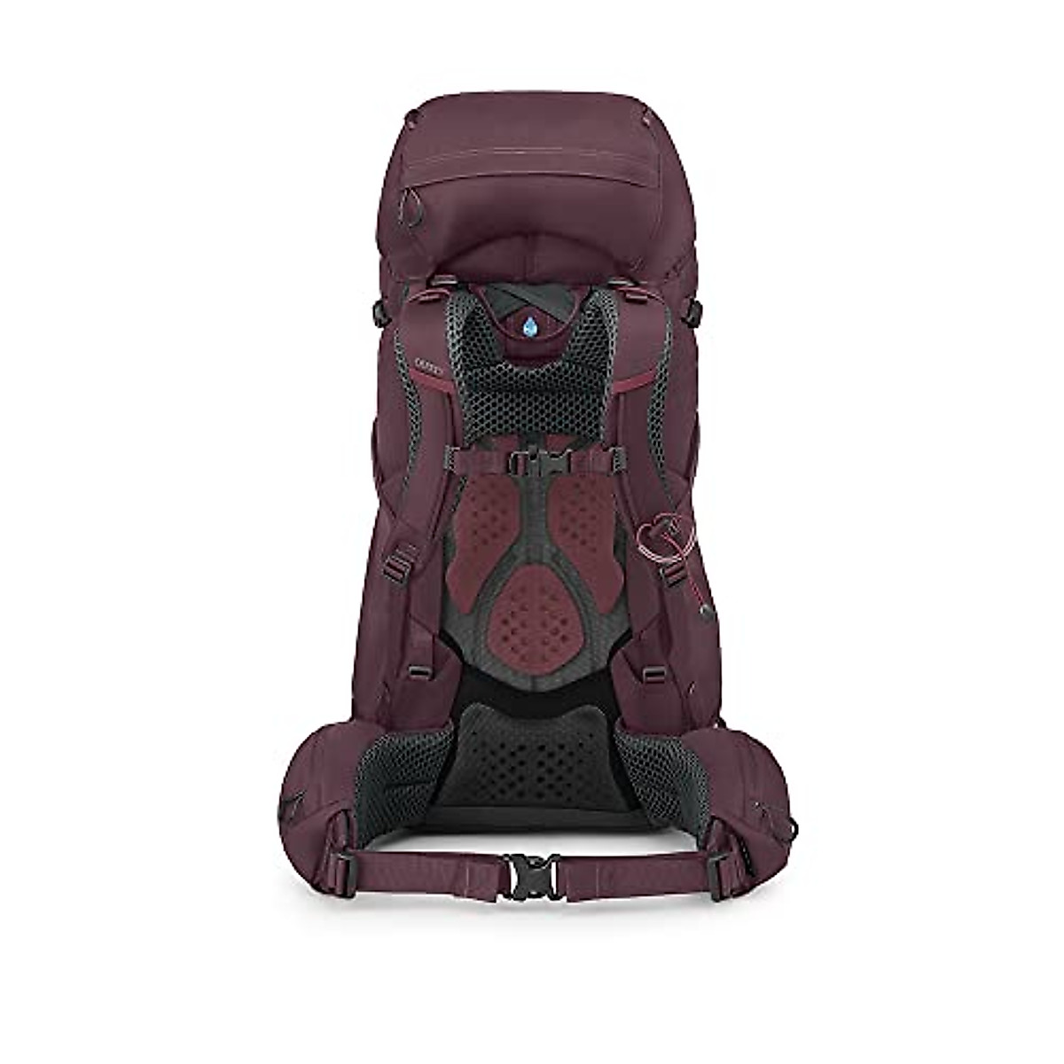 Osprey Kyte 58L Women's Backpacking Backpack with Hipbelt, Elderberry Purple, WM/L