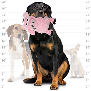 MIGHTY- Angry Animal Pig - Squeaker-Multiple Layers. Made Durable, Strong & Tough. Interactive Play Dog Toy (Tug, Toss & Fetch). Machine Washable & It Floats. (Regular)