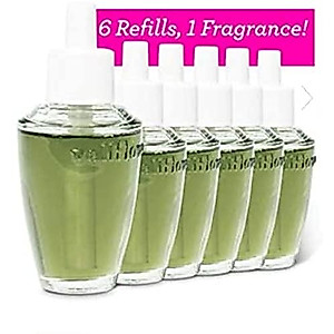 Bath and Body Works 6 Piece Pack Fresh Balsam (0.8 fl oz / 24 mL) Wallflowers Fragrance Refill