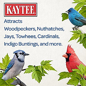 Kaytee Peanuts in Shell for Squirrels, Woodpeckers, Nuthatches, Jays, Towhees, Cardinals, Indigo Buntings, and Other Wild Birds, 5 Pound