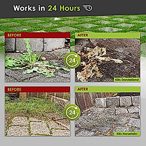 ECO Garden PRO - Organic Vinegar Weed Killer | Kid Safe Pet Safe | Clover Killer for Lawns | Moss Killer | Green Grass & Poison Ivy Killer | Spray Ready Glyphosate Free Herbicide (1 Gallon)