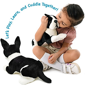 TigerHart Baxter The Boston Terrier - 12 Inch Stuffed Animal Plush Dog