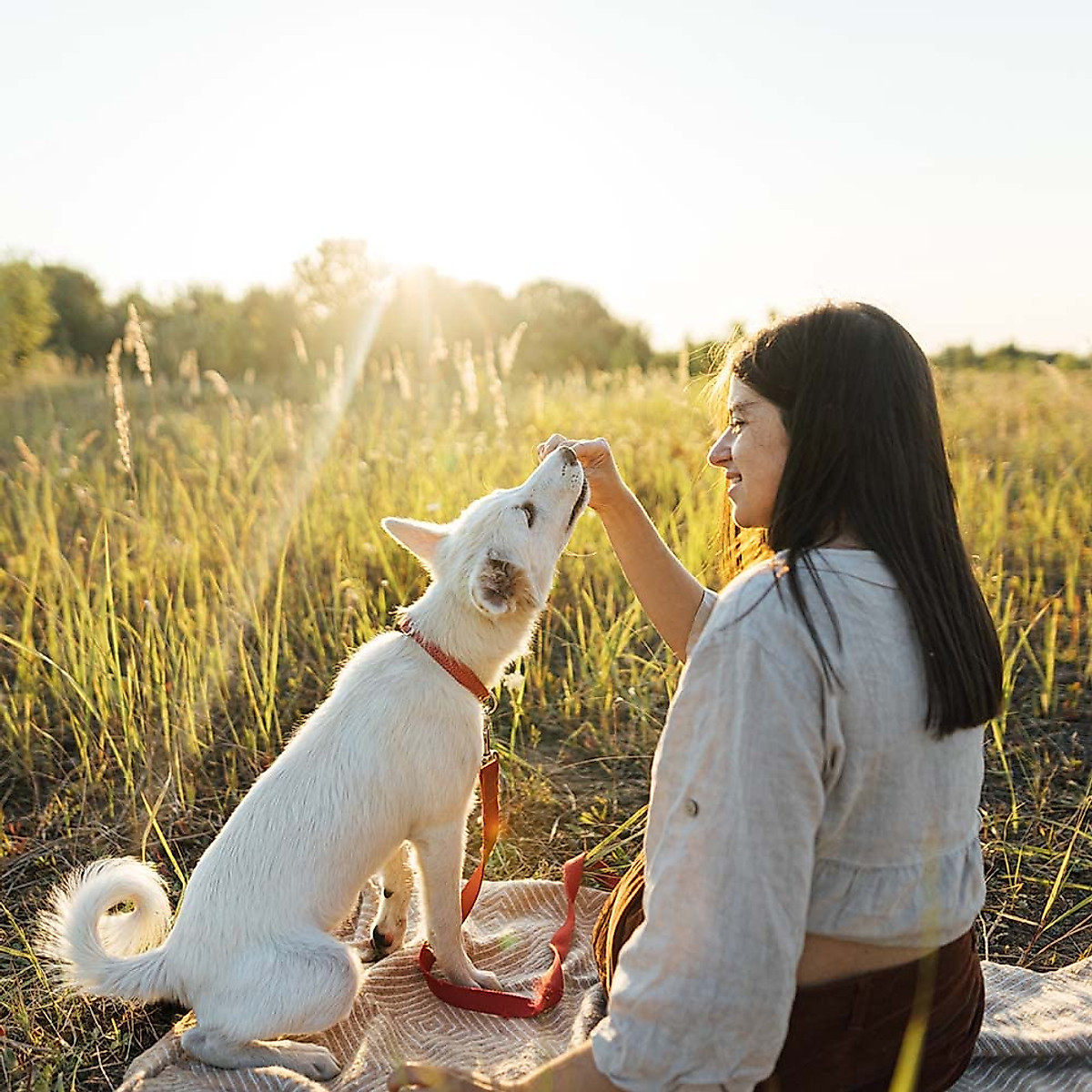 Merrick Fresh Kisses Oral Care Chews Dental Dog Treats with Coconut - Small Snacks for Pups 15-25 Lbs (9 Count) - Plus Rope Toy and Fun Animal Facts Booklet Bundle