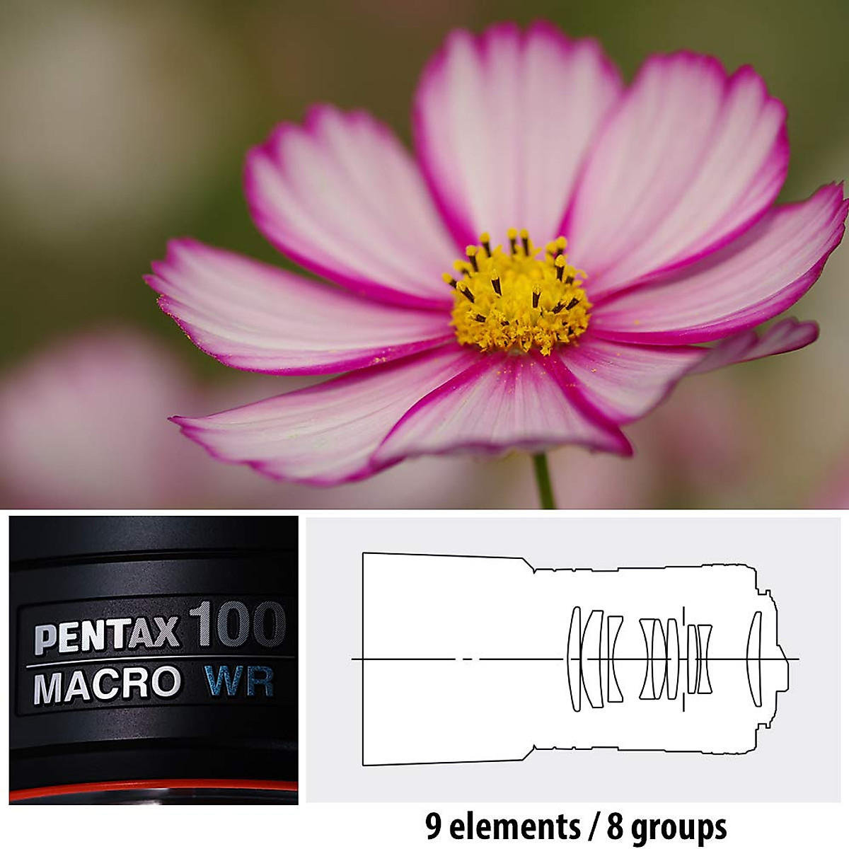 Pentax 100mm f/2.8 WR D FA smc Macro Lens for Pentax Digital SLR Cameras