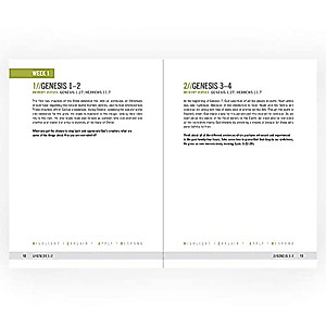 Foundations: A 260-Day Bible Reading Plan for Busy Believers (Journal) by Robby Gallaty (2015-11-01)