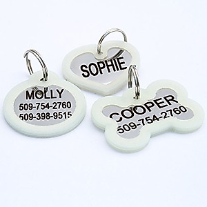 GoTags Personalized Dog Tags in Stainless Steel, Includes Glow in The Dark Tag Silencer to Reduce Noise and Protect Tag and Engraving, No Noise, Quiet Pet Tags, 2 Side Engraving, (Bone Shape)