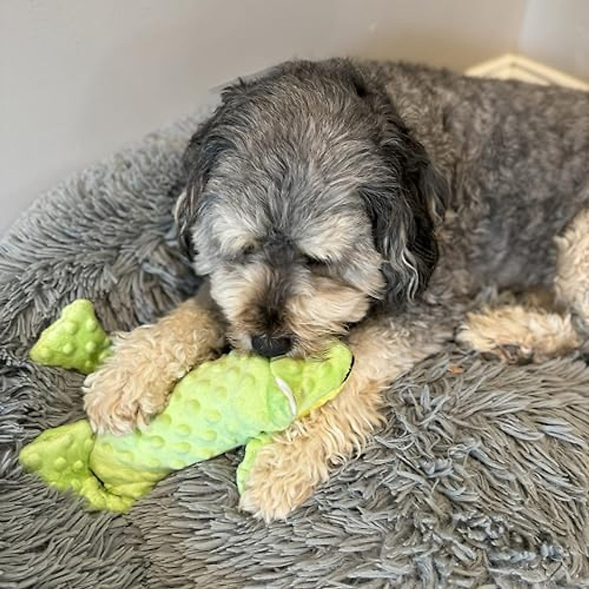 Ethical Pets 54093 Skinneeez Extreme Stuffing Free Dog Toy, 14", Frog, Green