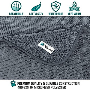 PetAmi Waterproof Dog Blanket, Leakproof XL Pet Blanket for Large Dogs, Furniture Sofa Couch Cover Protector, Fleece Cat Throw for Bed Crate Kennel, Reversible Washable Soft Plush, Twin 60x80 Gray