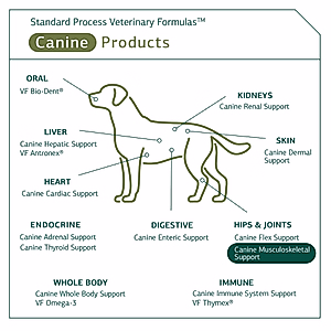 Standard Process Canine Musculoskeletal Support - Bone & Joint Health Formula for Pets - Canine Musculoskeletal Support Supplement - Supplement for Dogs to Aid Joint Comfort & Muscle Health - 120 g