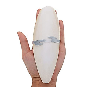 DQITJ 4 Pcs Cockatiels Cuttlebones Cuttlefish Bones for Birds Cockatiels All Parrots Lovebirds Small Conures Mynahs Toucans African Greys Parakeets Budgies Finches Canaries (6.3 inch)