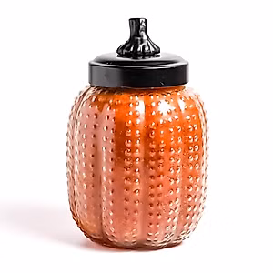 A Cheerful Giver Autumn Orchards 26 oz. Pumpkin Jar Candle, 34 oz