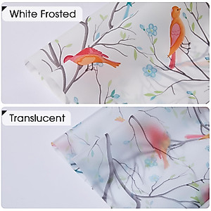 Coavas Window Privacy Film Stained Glass Window Decals Heat Blocking Frosted Birds Window Clings Decorative Bathroom Window Stickers Door Window Coverings for Home 17.8" x 78.7" Translucent