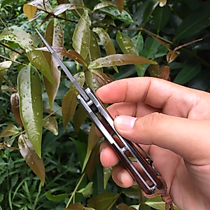 ALBATROSS HGDK007 EDC Sharp Damascus Folding Pocket Knife with Liner Lock-Cote D'Ivoire Sandalwood Handle,Gifts/Collections