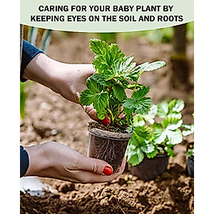 homenote Clear Nursery Pots, 60 Packs 3 Inches Seedling Pots with Drainage Holes, High Transparency Plant Pots Durable Seed Starter Pots Reusable for Plants Vegetables with Bonus 20 Plant Labels