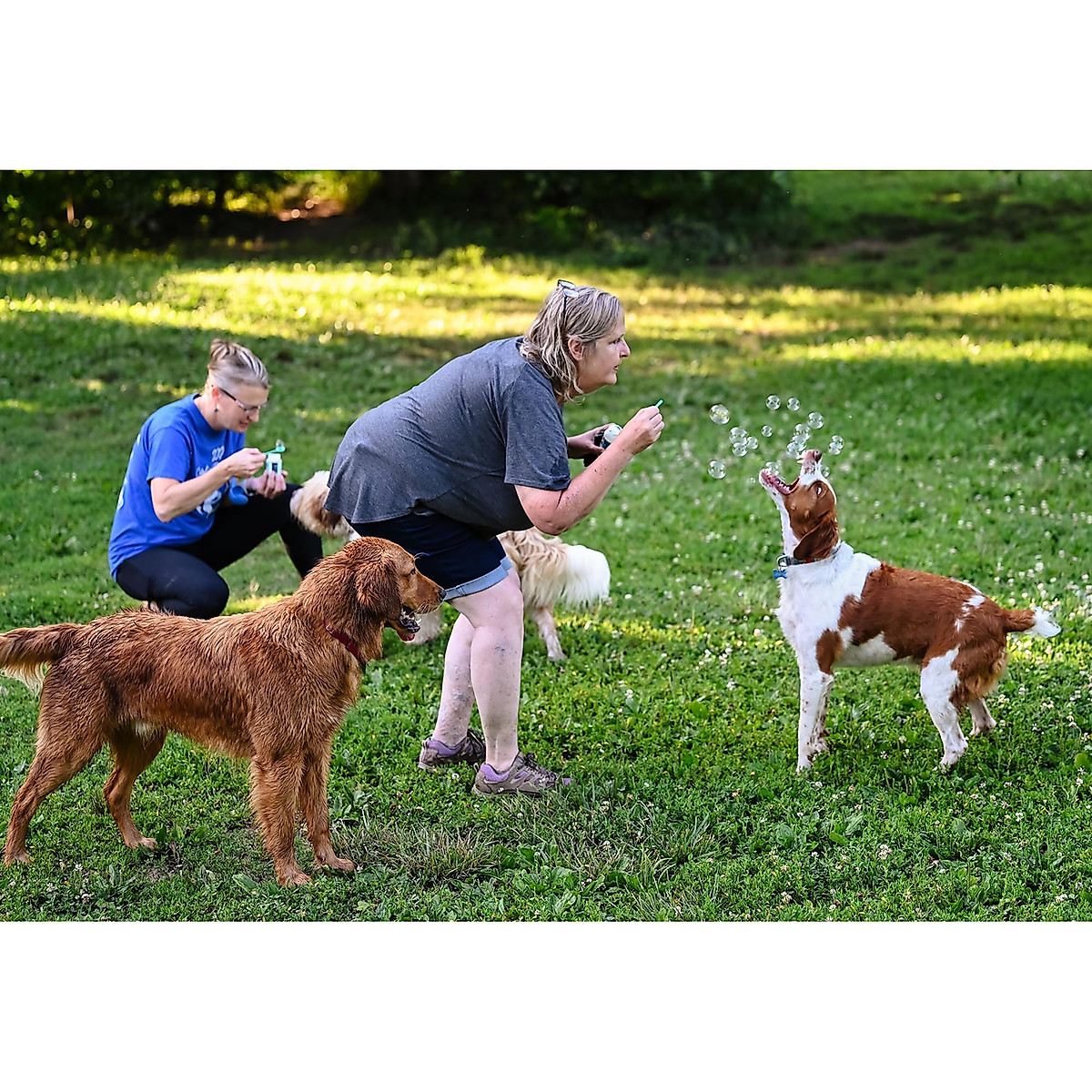 Puppy Love Bubbles, Bacon Scented Bubbles 4oz. Bottle-2 Pack in Bacon Flavor for Dogs