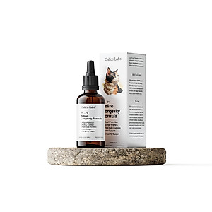 Calico Labs - Veterinarian Approved - Complete Feline Longevity Support. Supports Heart, Kidney, Joint, & More (60 Servings)