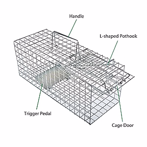 Anyhall Live Animal Cage Trap for Squirrels