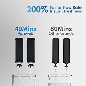 Purewell 3-Stage 0.01μm Ultra-Filtration Gravity Water Filter System, NSF/ANSI 42&372 Certification, 304 Stainless Steel Countertop System with 2 Filters and Stand, Reduce 99% Chlorine, 2.25G, PW-OB