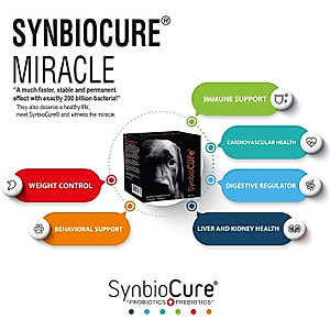 Synbiocure I Probiotics & Prebiotics for Dogs I Powder Dog Supplement I Digestive Health Support I 200 Billion Bacteria Per Sachet I 30 Sachets*2 g