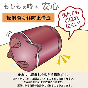 Zojirushi electric kettle (1.0L) Metallic Brown CK-AW10-TM