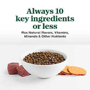 NUTRO Limited Ingredient Diet Small Bites Adult Dry Dog Food Lamb & Sweet Potato Dog Kibble, 22 lb. Bag