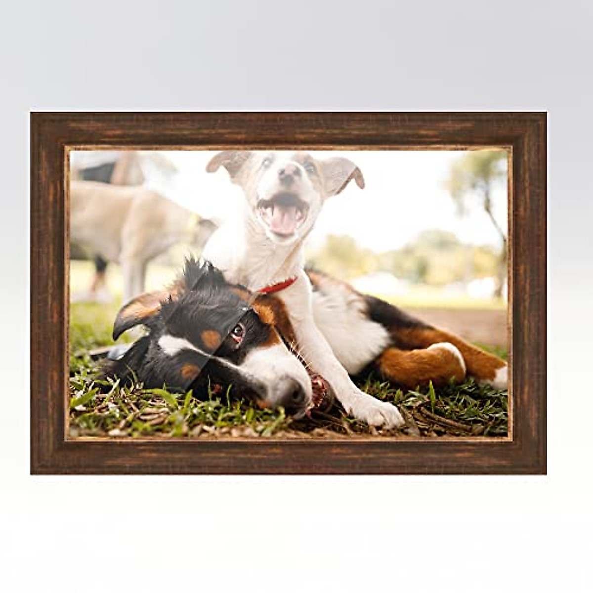 24x40 Frame Gold Real Wood Picture Frame Width 1.5 Inches | Interior Frame Depth 0.5 Inches | Garrett Modern Photo Frame Complete with UV Acrylic, Foam Board Backing & Hanging Hardware