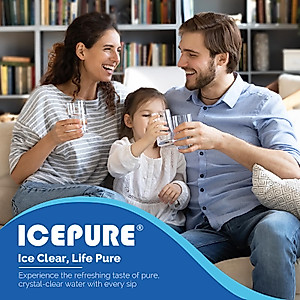 ICEPURE 4396701,469915 Replacement for Kenmore 9915 Whirlpool WFL200, L200V,NLC120V,RWF2000A,WF-LC200V, WF293,EDR6D1,FILTER6,LC200V,4396702, 2301706,EFF-6001A,SGF-W10 Refrigerator Water Filter 1PACK