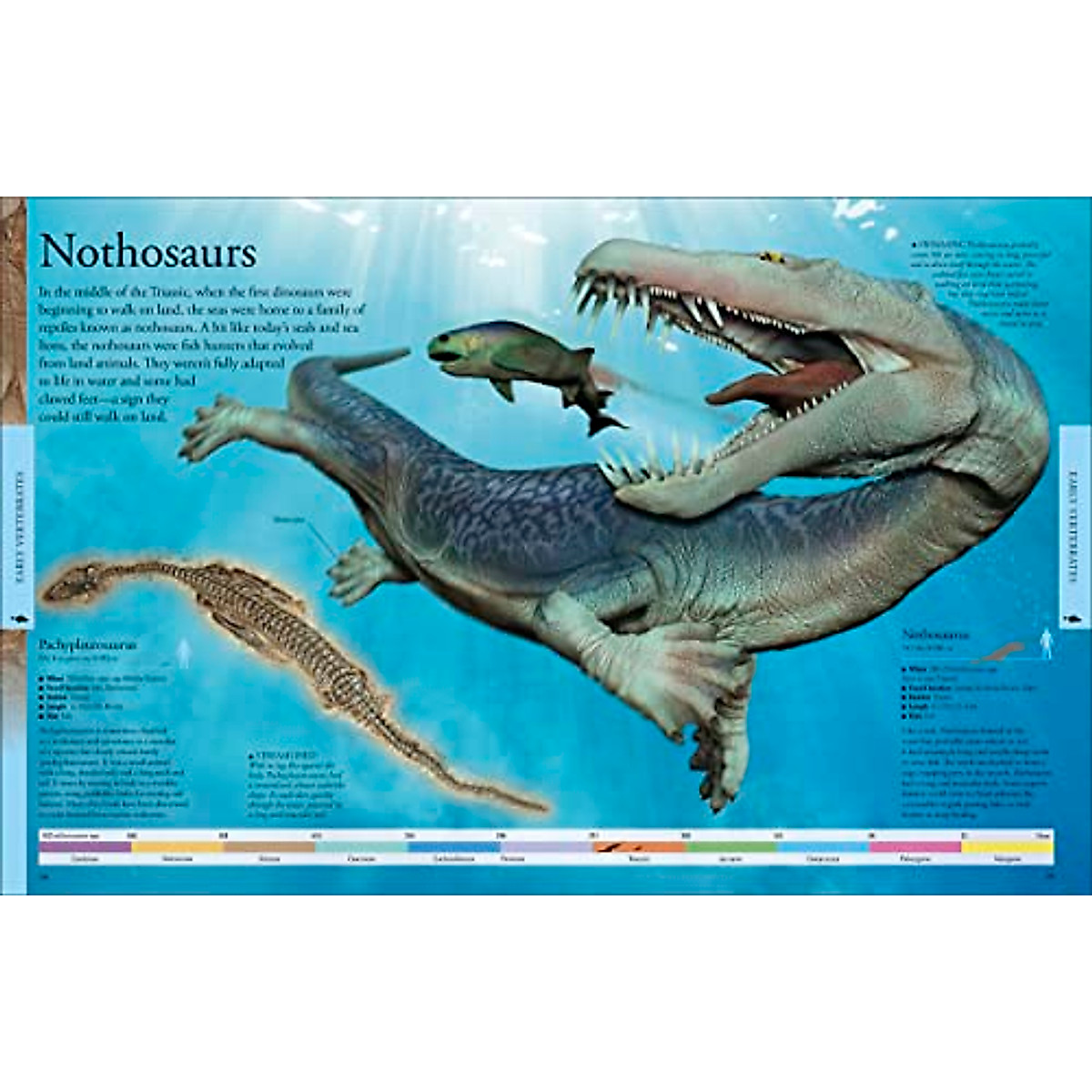 Dinosaurs: A Visual Encyclopedia, 2nd Edition (DK Children's Visual Encyclopedias)