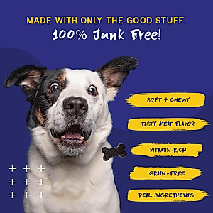 PupGrade 2-Pack Skin & Coat and Daily Multivitamin for Dogs - Coat Care & Allergy Defense Supplement with Natural Fish Oils - All-in-One Supplement - 90 Chews