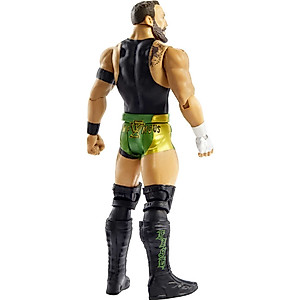 Mattel WWE Basic Action Figure, Bobby Fish, Posable 6-inch Collectible for Ages 6 Years Old & Up